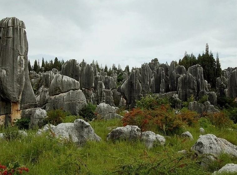 MD.KomalPrakash: stone forest