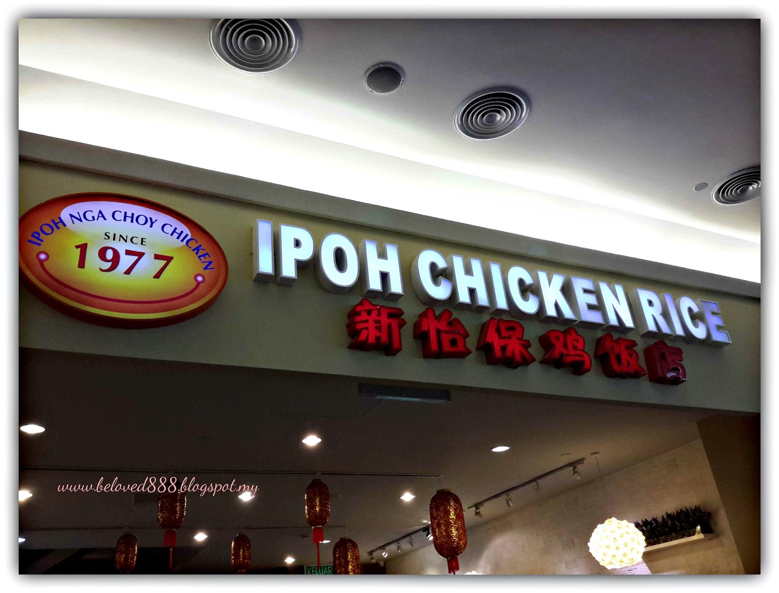The Best Chicken Rice - 1977 Ipoh Chicken Rice - Betty's Journey