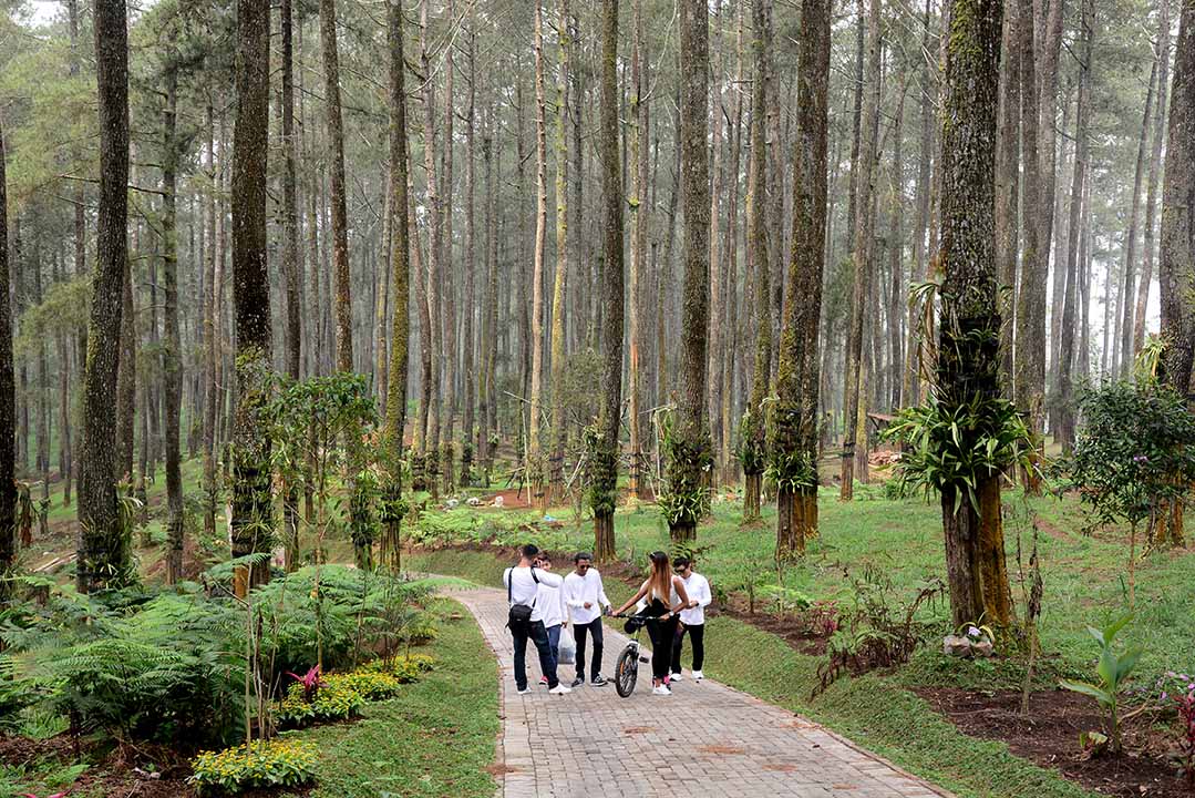 OUTBOUND LEMBANG | PAKET OUTBOUND DI BANDUNG