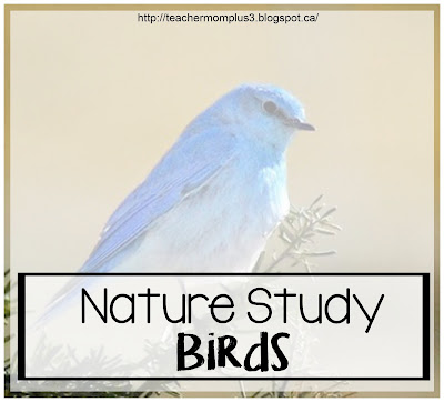 TeacherMomPlus3: Nature Study: Birds