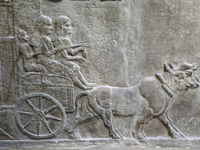 Roman Times: October 2015