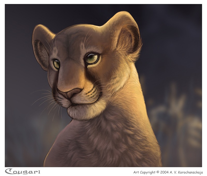 Коллекция картинок: Мультяшные и рисованные звери от Balaa