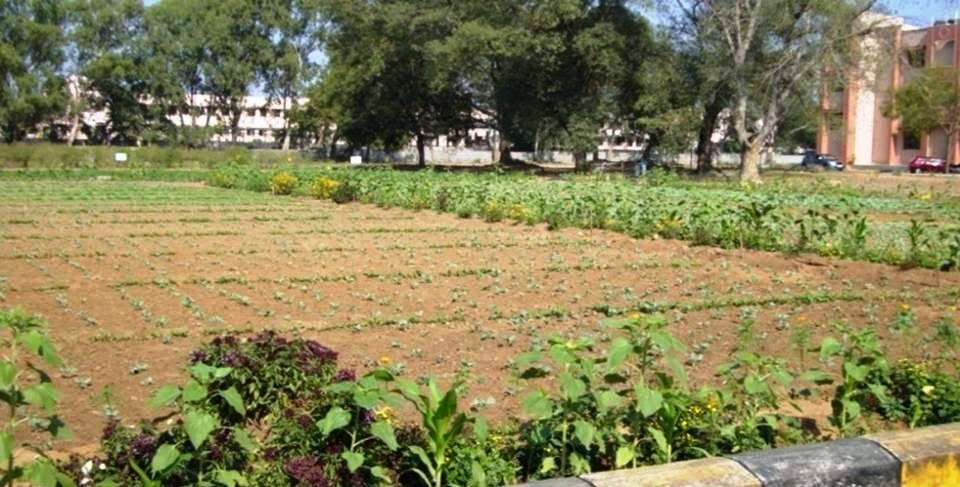 IPM Sutra By Ram Asre: Ecological Engineering