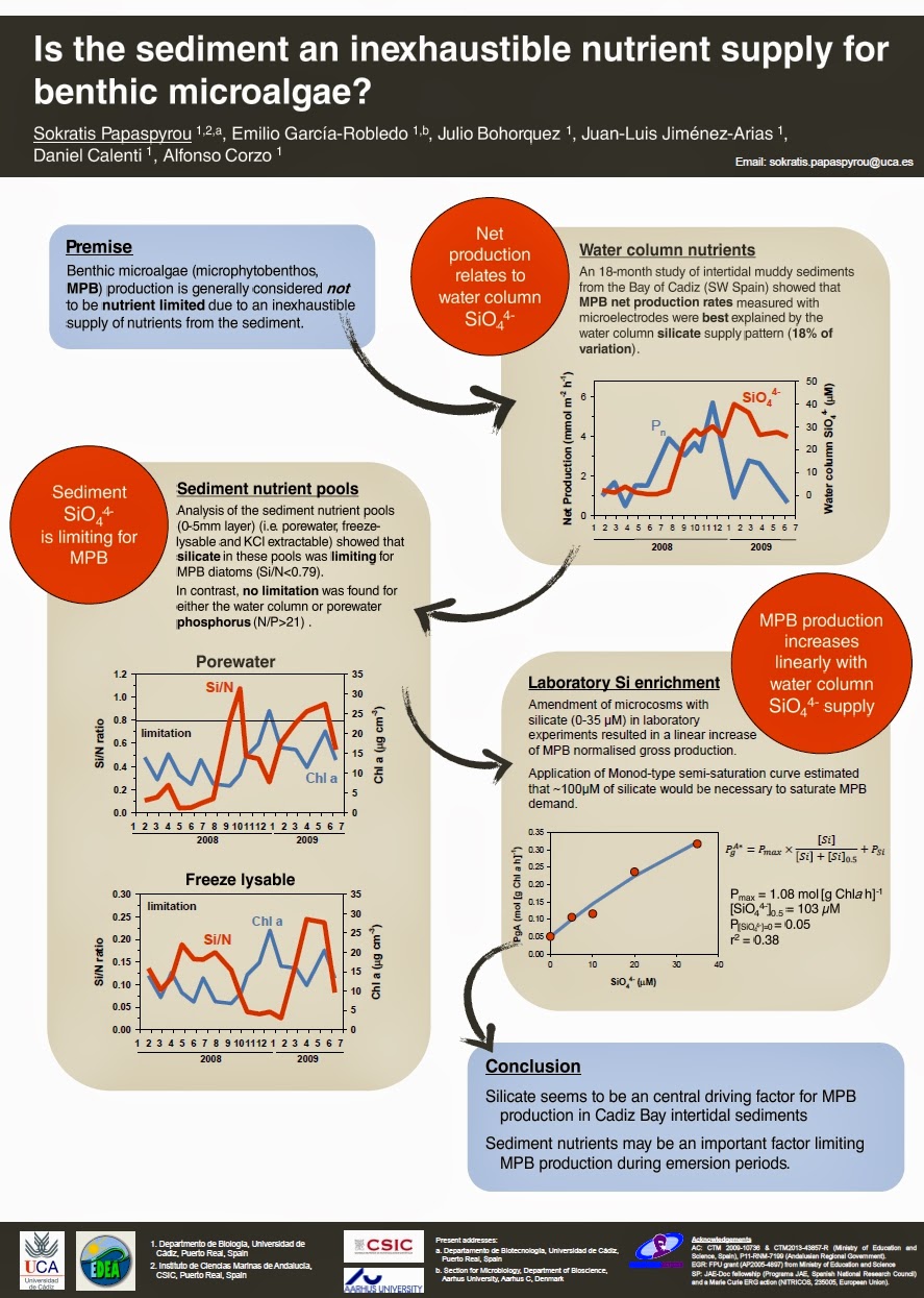 Better Posters: Critique: Inexhaustible sediment