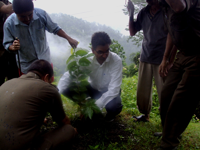 SIKKIMNEWS: PRESERVE PLANT AND ENVIROMENT -FOREST DEPARTMENT SIKKIM