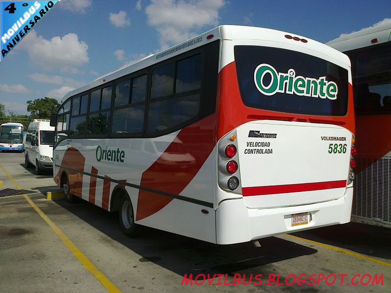 VOLKSBUS 8-150 ORIENTE