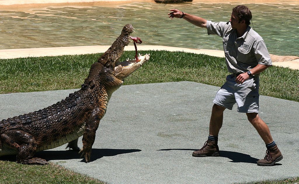 Bucket List: Feed A Crocodile.