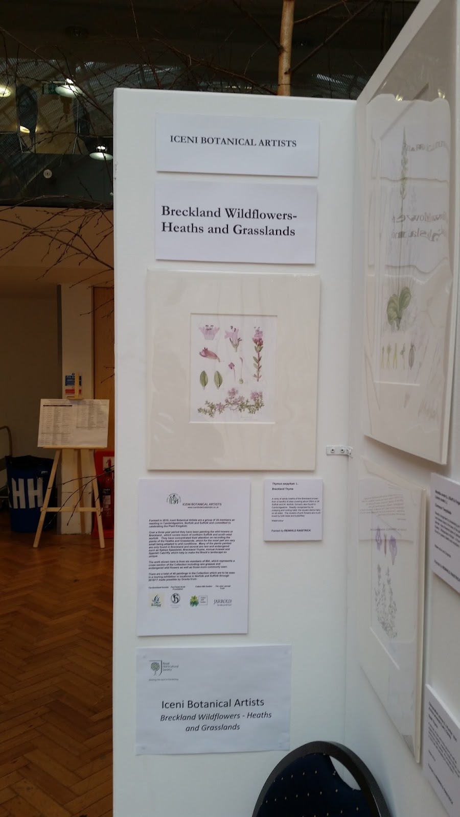 The Natural Year: Project Skills for Botanical Artists (ii ...