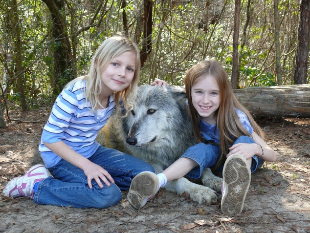 White Wolf : Awesome Pictures of Wolf Human Interaction at Seacrest ...