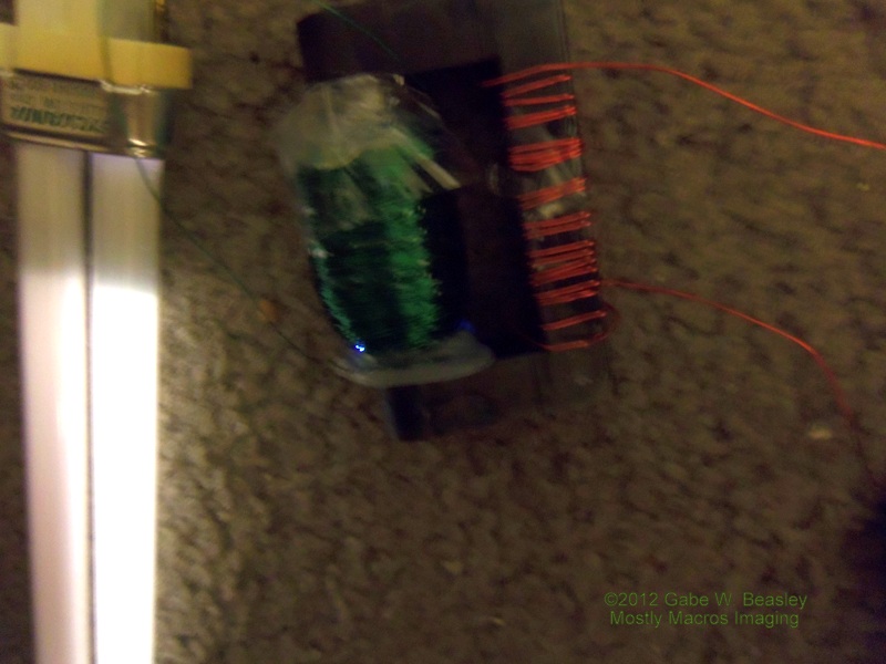 Mostly Macros Imaging: PLASMA! --and a homemade flyback transformer!