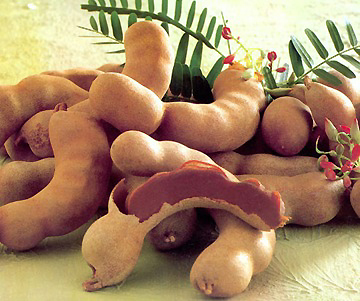 Manfaat Buah Asem Jawa untuk kesehatan? ~ Babah Kuya Herbal