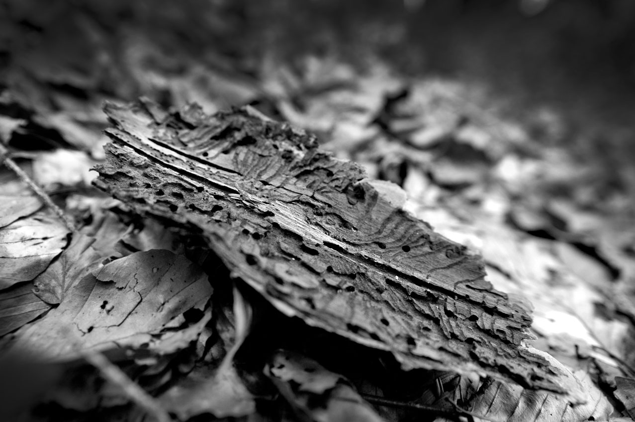 Craig Howarth Fine Art Landscape Photographer