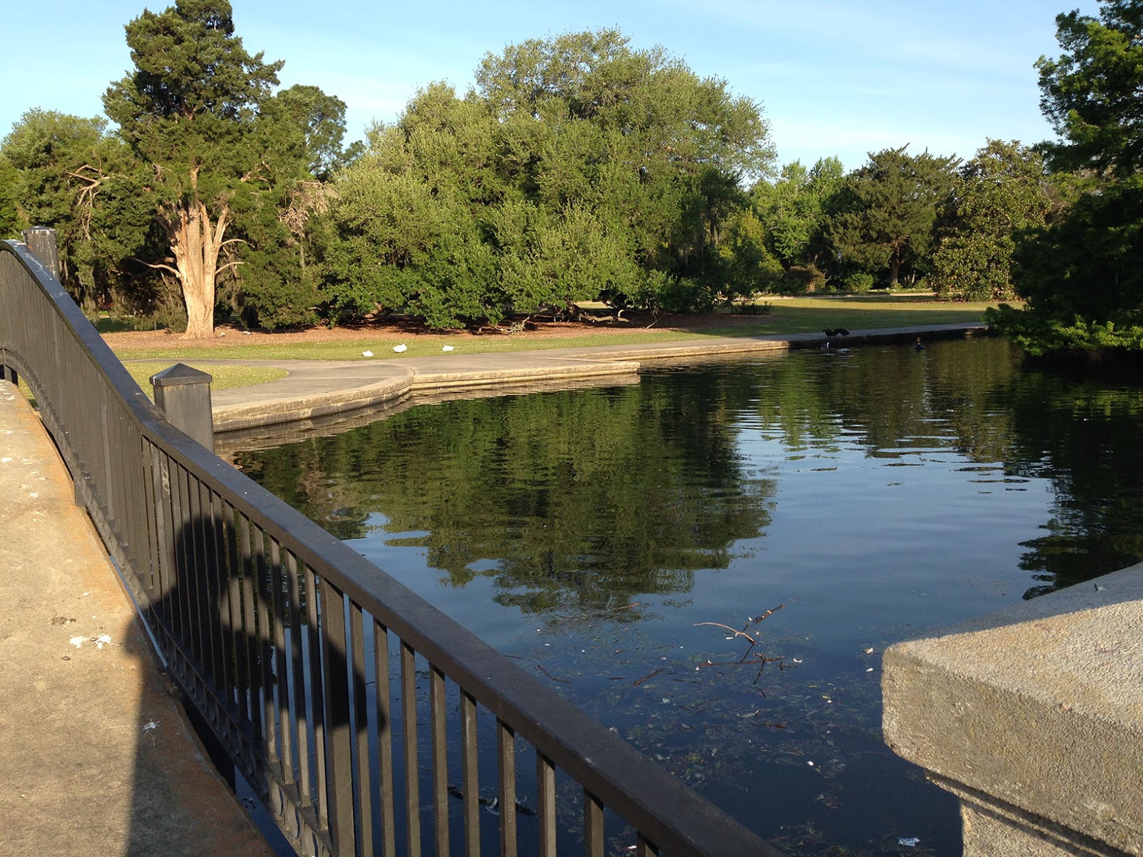 Running Routes: Charleston Hampton Park Running Route