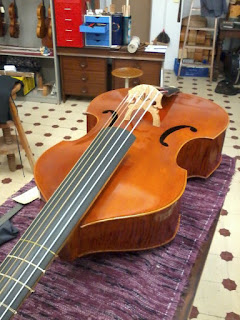 Viola da gamba, violone: G Violone. Violone en sol para La Haya ...