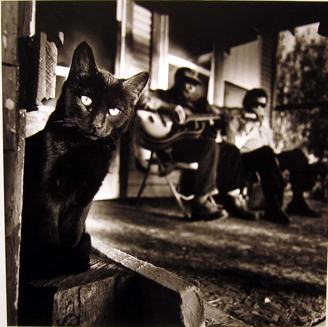 Os 75 melhores discos da história do blues!