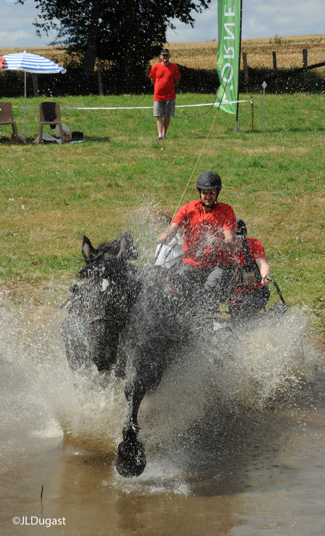 Percheron International: Obstacles En Rase Campagne