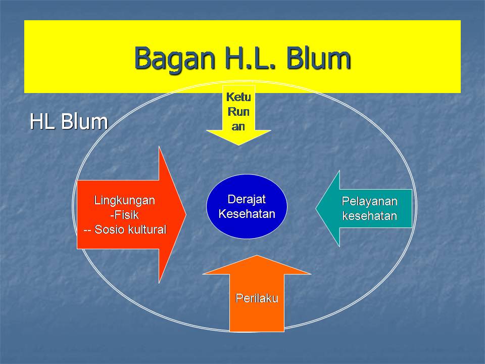 SANitasi SURveilans: Bagan H.L. Blum