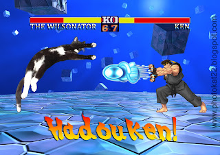 The Kat's Scratch Pad: Hadouken!