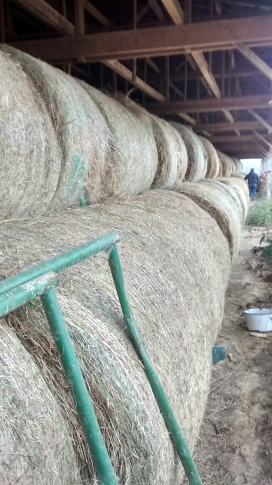 White House Farms: Beautiful Ky Horse Hay