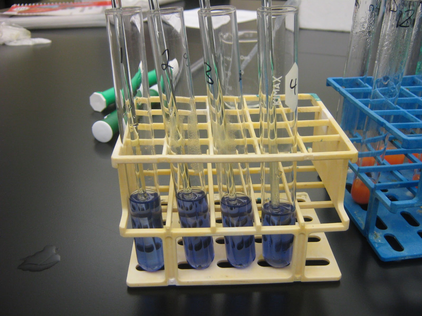 Anatomy and Physiology Lab 2: Lab 7 Digestive Physiology