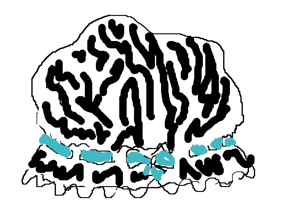 Annie Hobbs Illustration: Daylight Wasting time?