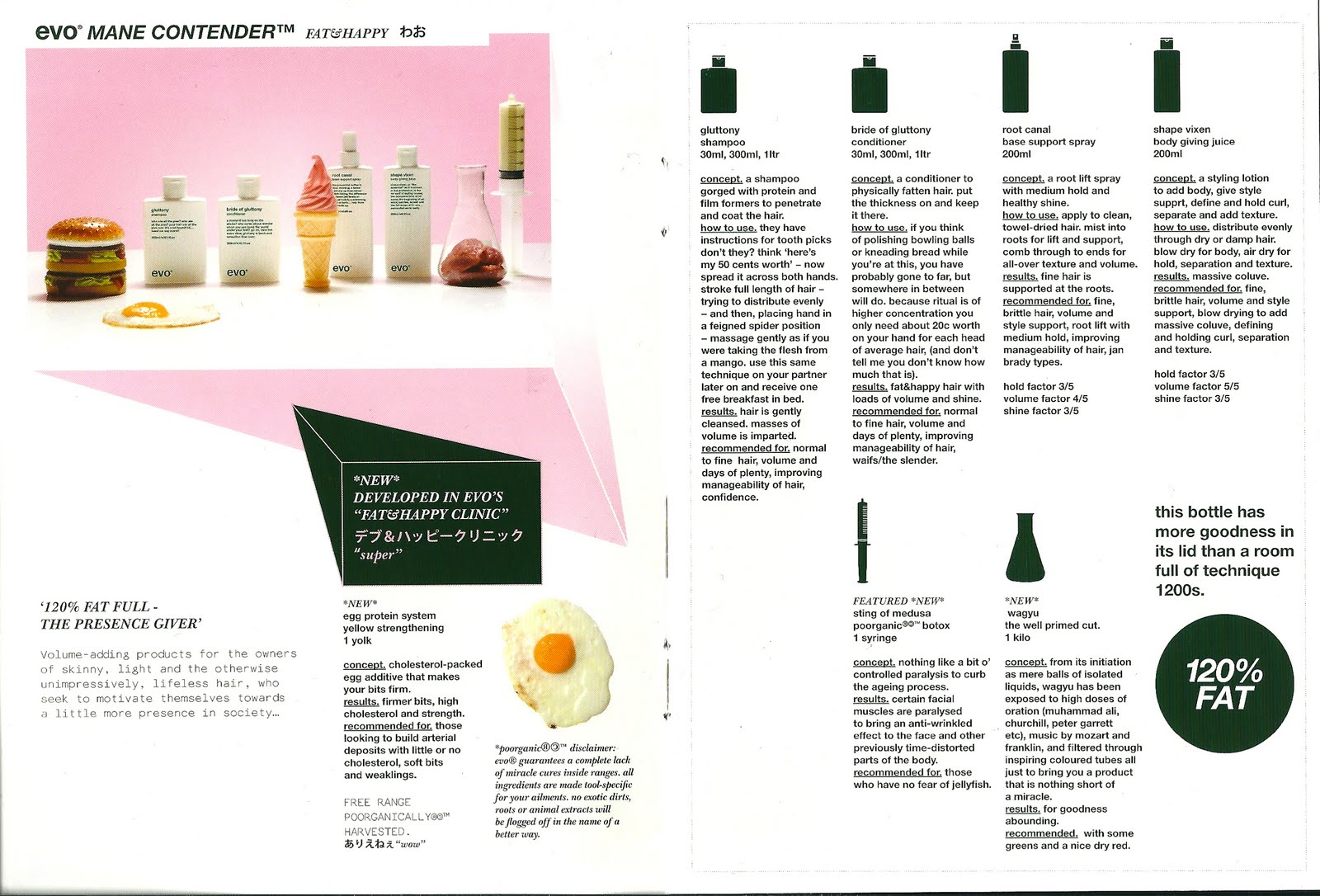 Design Context: Speaking From Experience// Evo Hair Booklet.