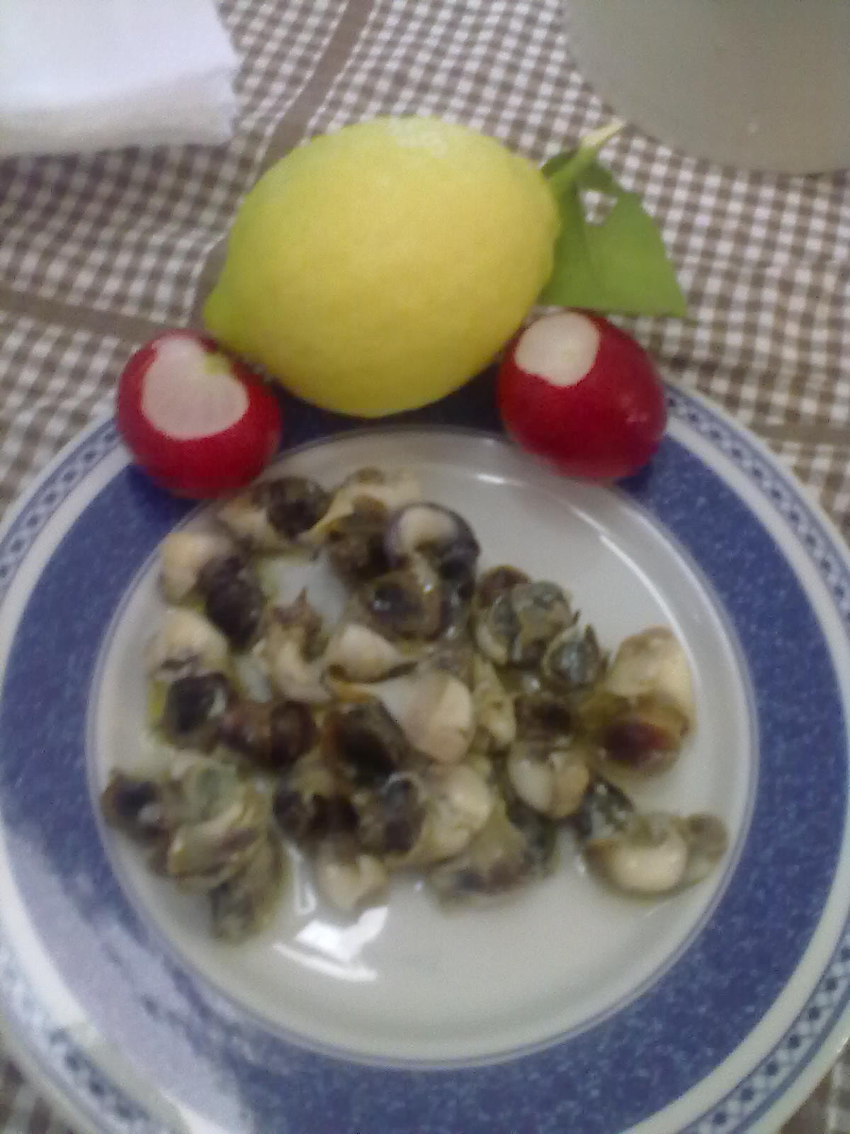 Coccioli di mare | Pomodori verdi fritti