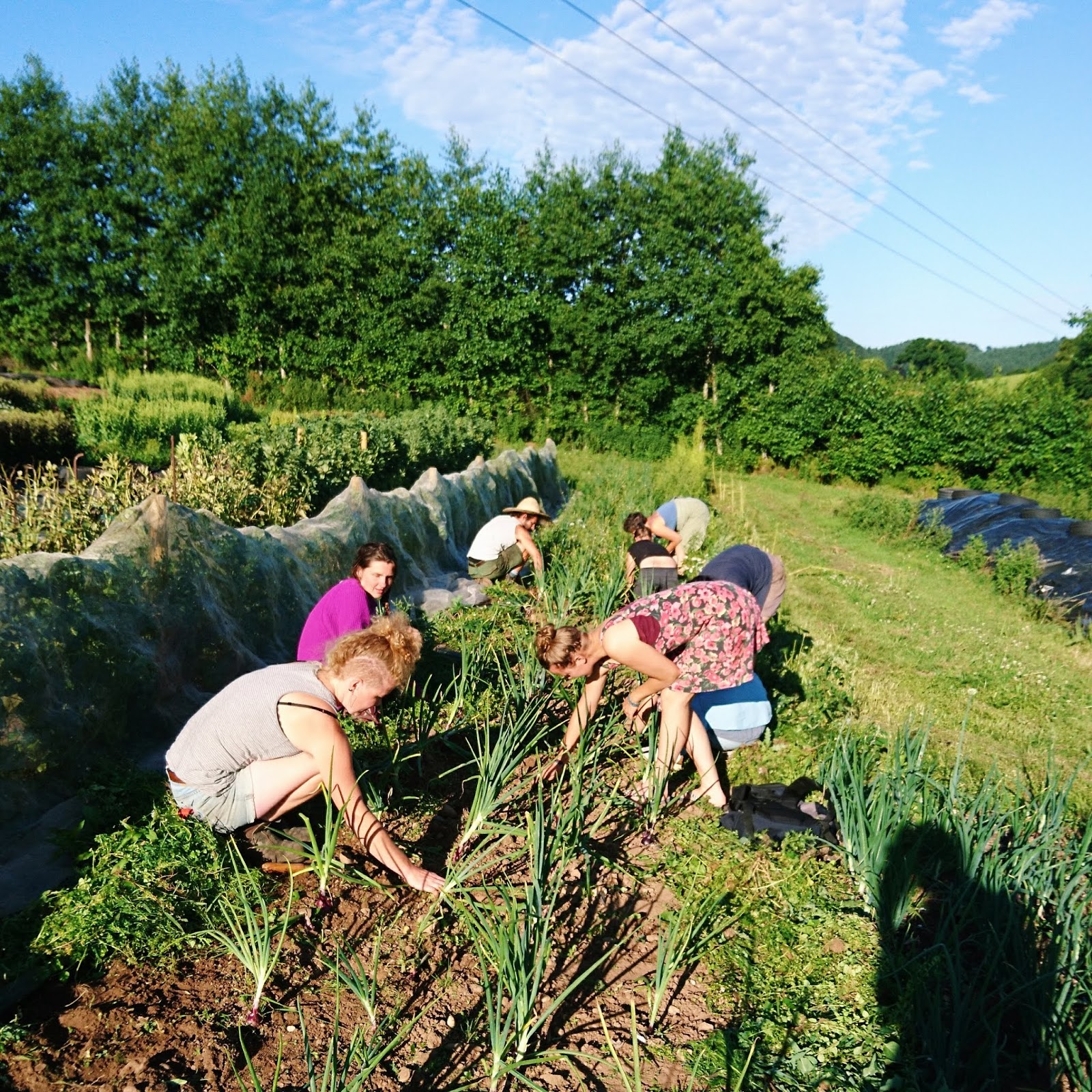 Broad View from a Small Farm: agroecology briefing - references - for ...
