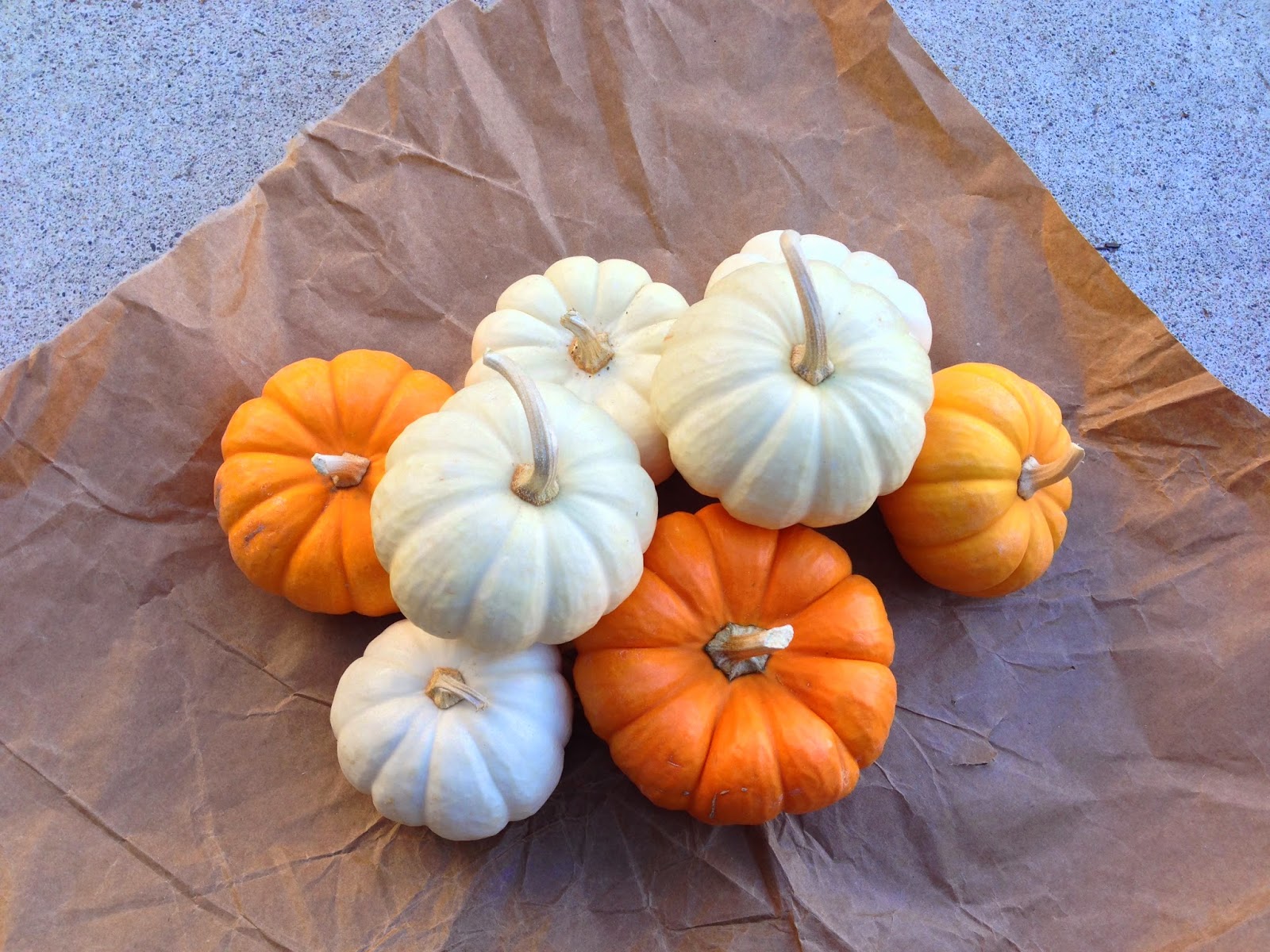 birdie to be: Gold mini pumpkins diy