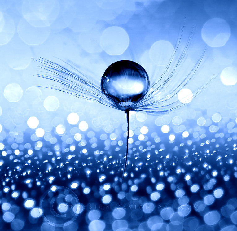 Elemeno P: Neil Hart