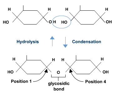 All About Studies Now