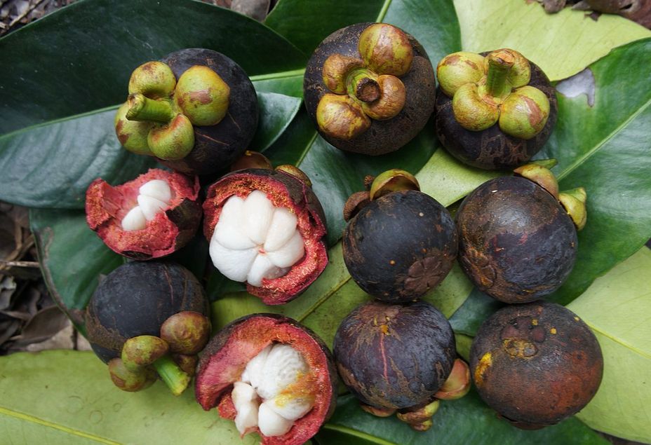 Mangosteen Health Benefits