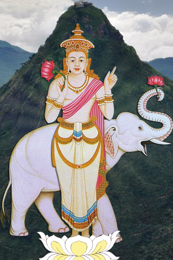 ARBOLESCENCIAS TELÚRICAS: 11/07/18