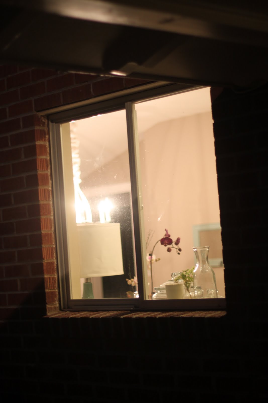 Settled: From the Outside, Looking In