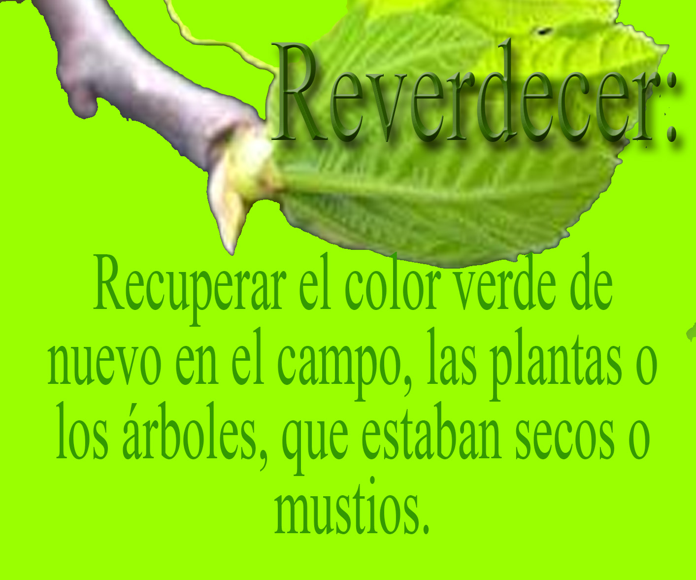 Sobaco Ilustrado: 2018