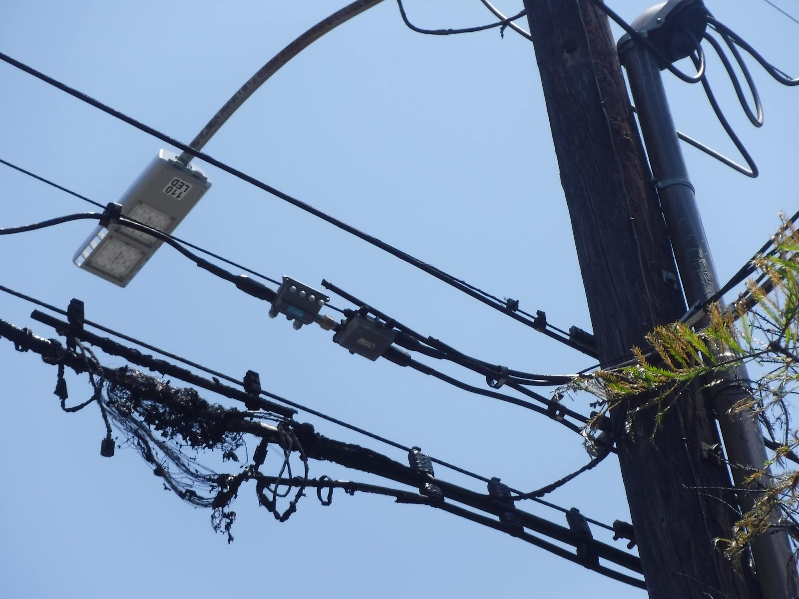 Lightning Hits Power Pole