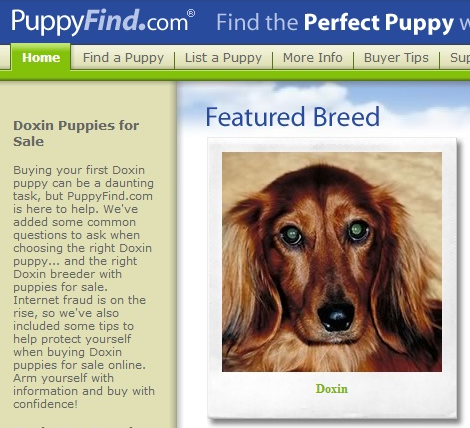 Terrierman's Daily Dose: You Want a Doxin?