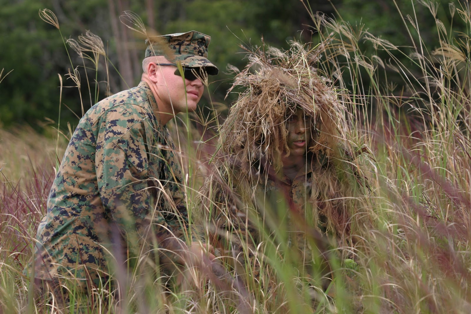 Dunia Militer Etc: Scout Snipers - USMC