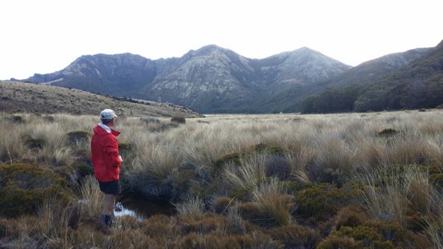 Mulvany Adventures: Southern Alps Traverse, The Douglas Range