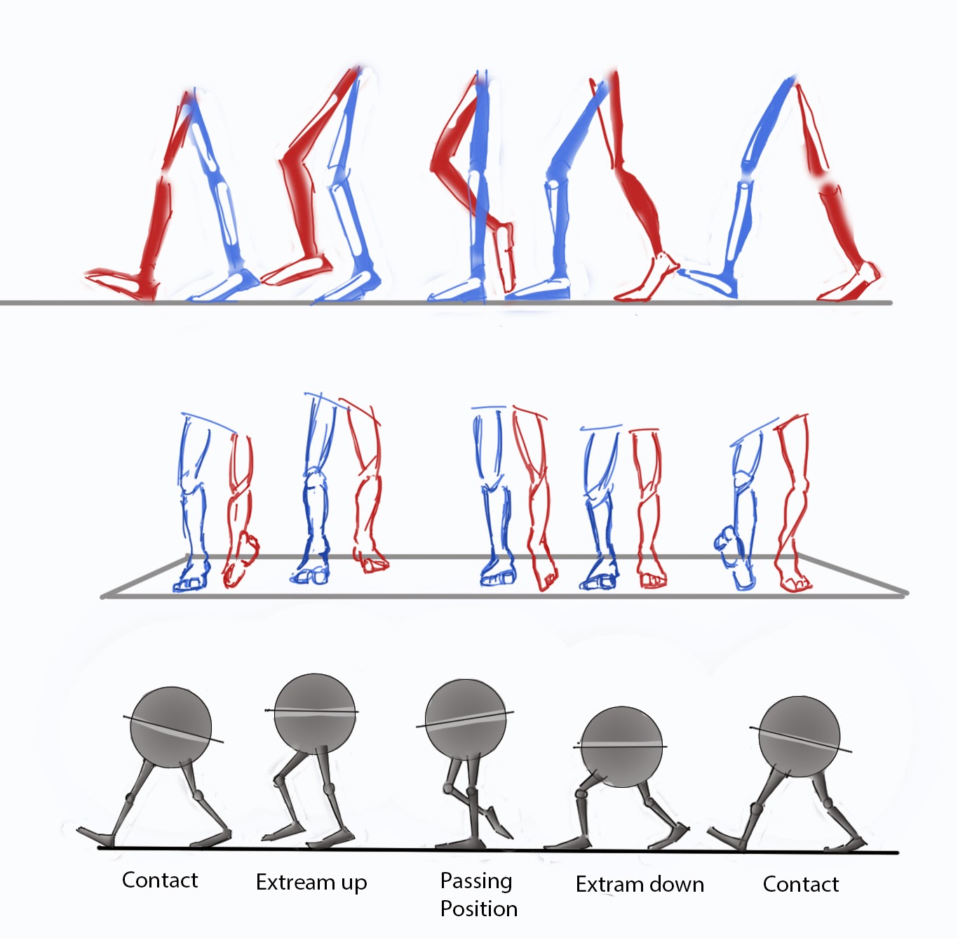 Madushan Portfolio : Vanilla walk Planning