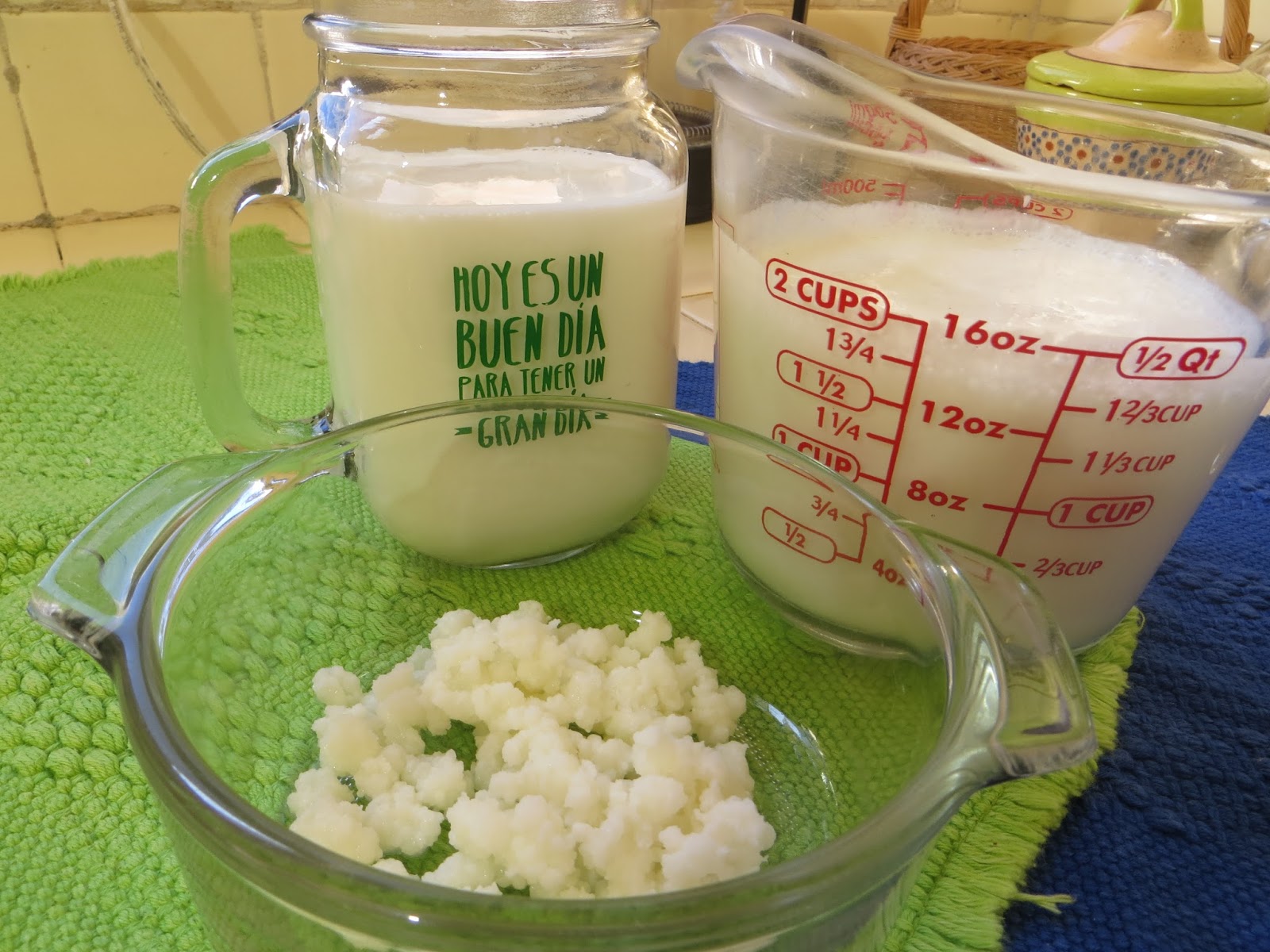 La Botica del Semidesierto: Kéfir o Búlgaros para yogurt de leche