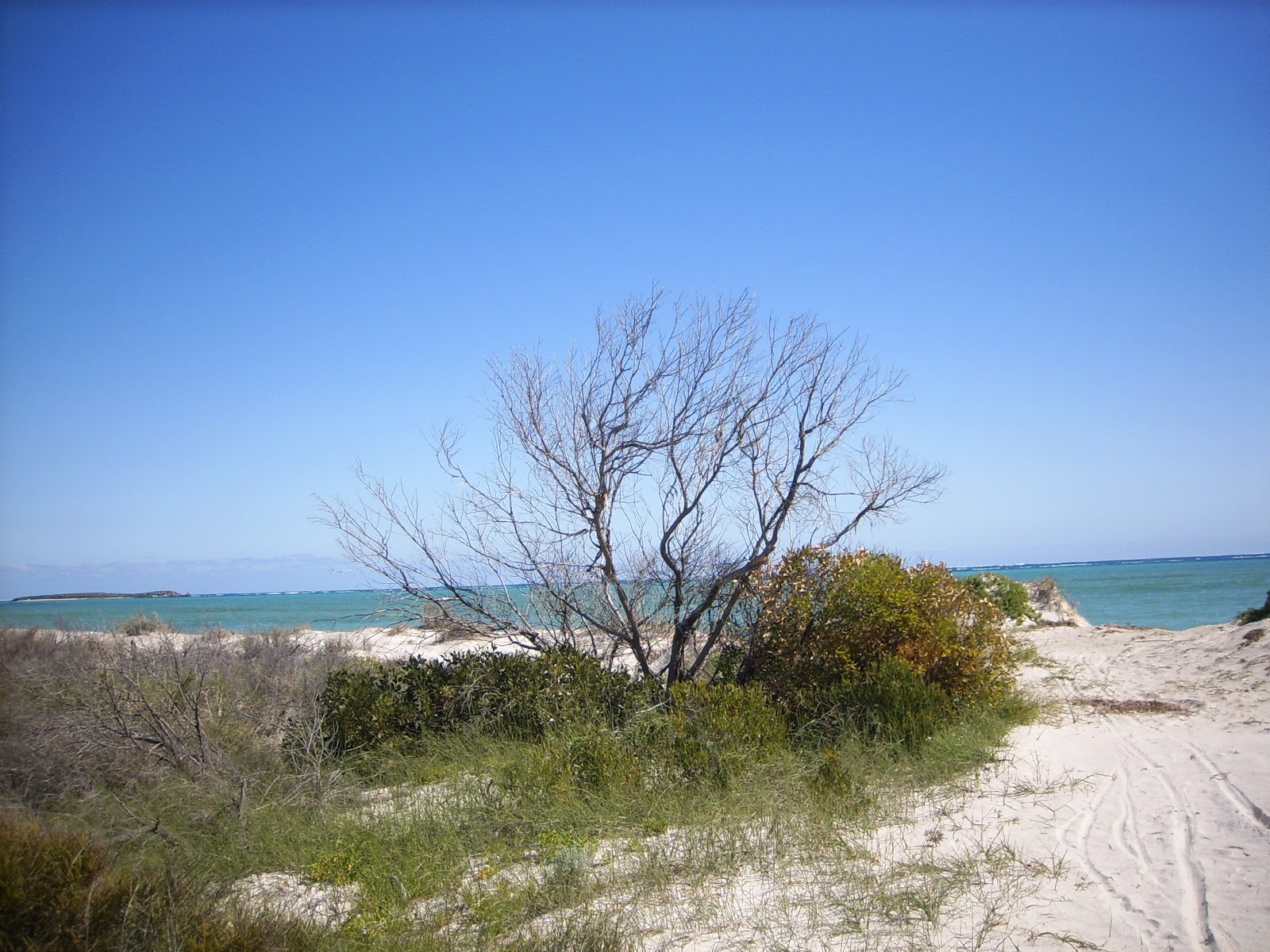 Travel Our Planet: Explore Cervantes and the Pinnacles Desert in ...