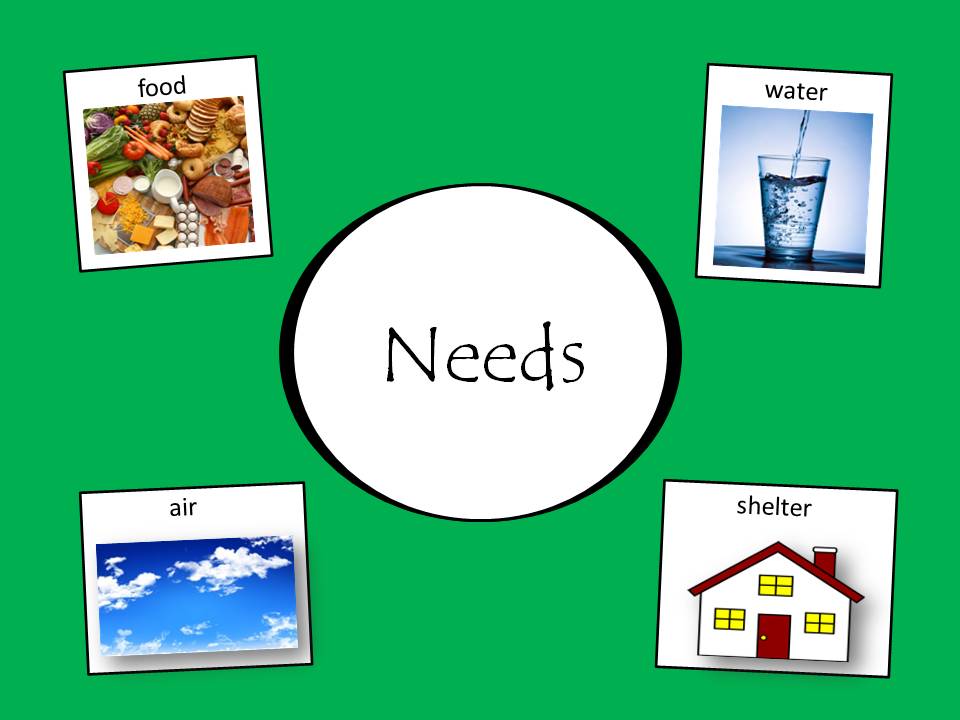 More with Music: May 2013