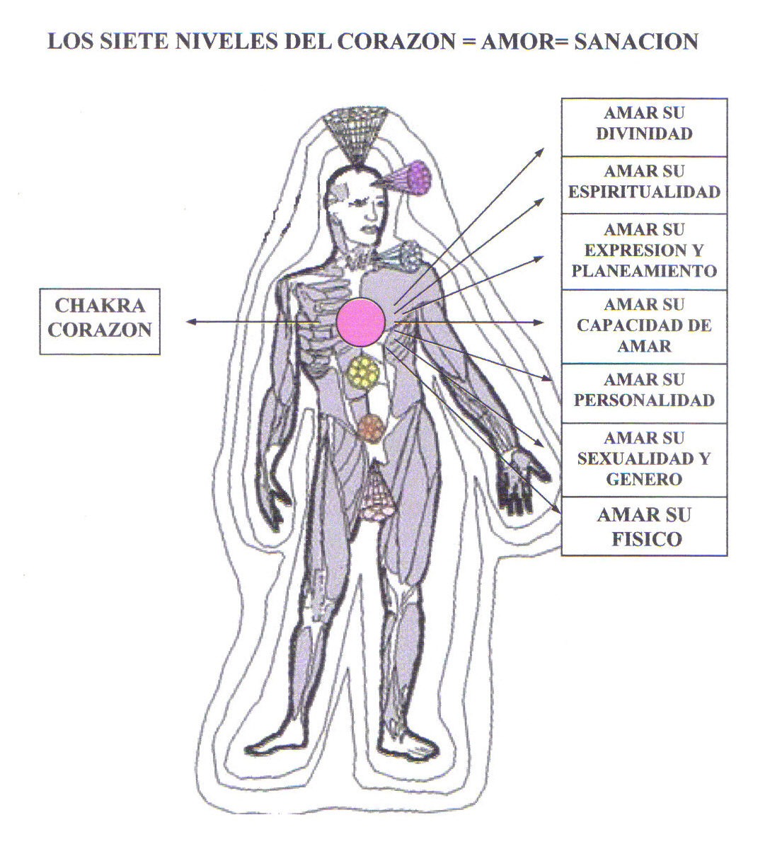 Sistema de Sanación Natural Tinerfe: Los Siete Niveles del Chakra Corazón
