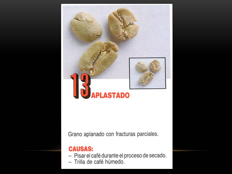 ASESORÍA CAFETERA: CONOSCA LOS DEFECTOS DEL CAFÉ
