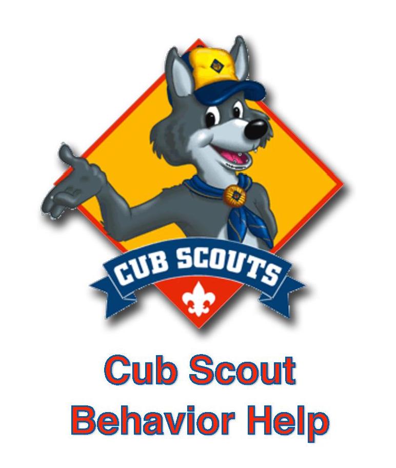 Ann's Light Bulb Moments: Cub Scout Behavior Chart