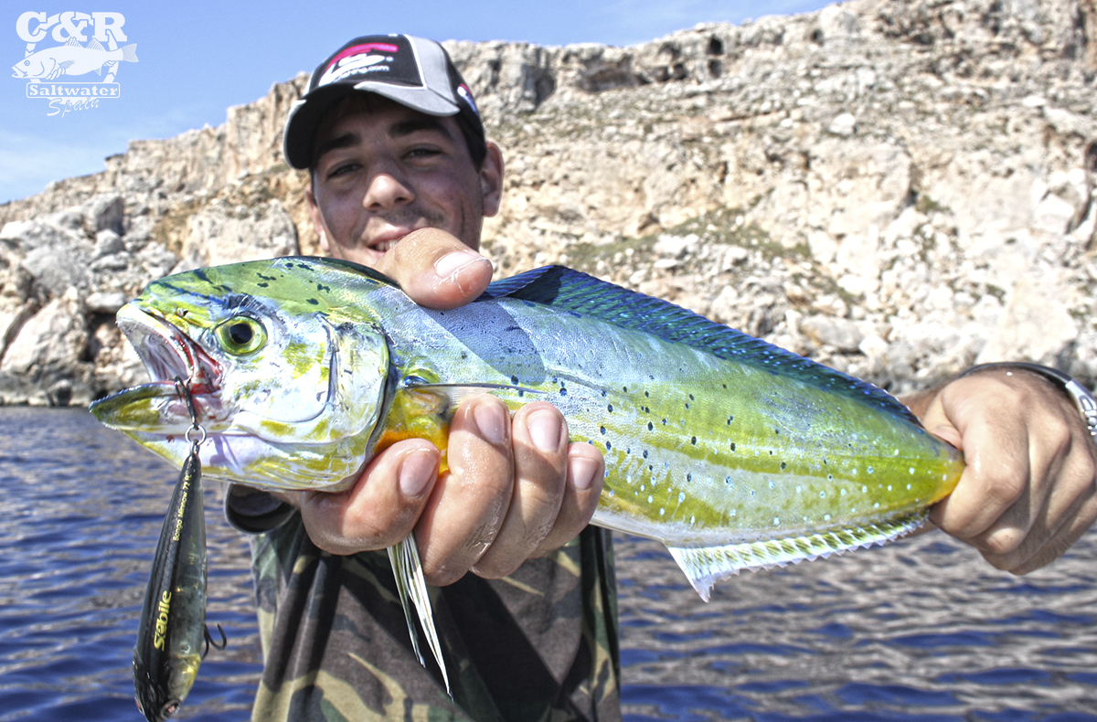 RockFishing Spain: Llampugas a Rockfishing