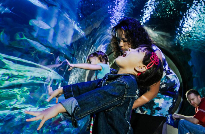 Férias na Flórida: Sea Life Orlando Aquarium