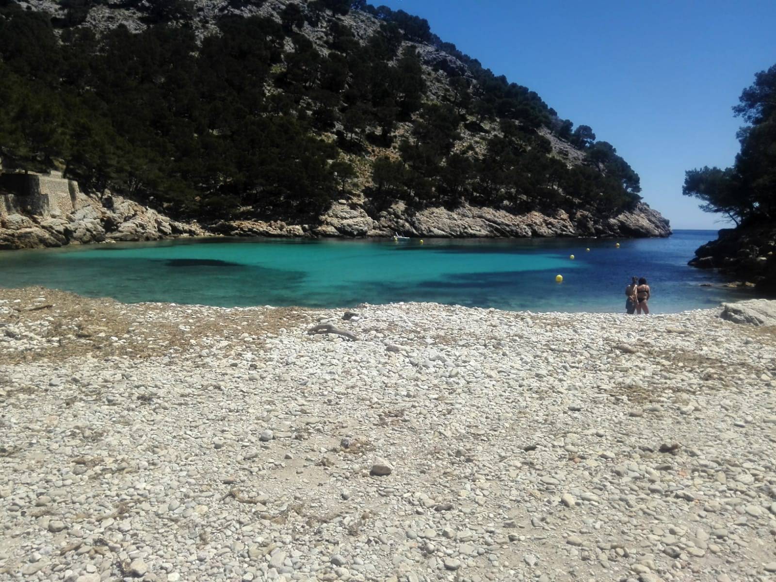 camins i caminois: FORMENTOR: CALA PI DE SA POSADA, CALA MURTA I ES ...