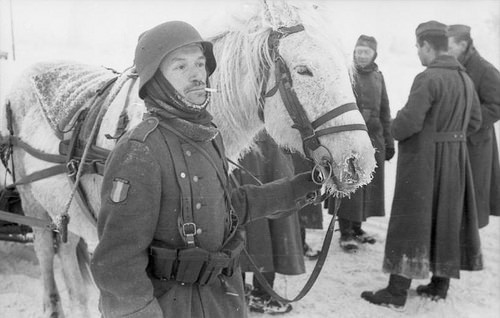 Armour force / Panssaroitu voima : Vichy France